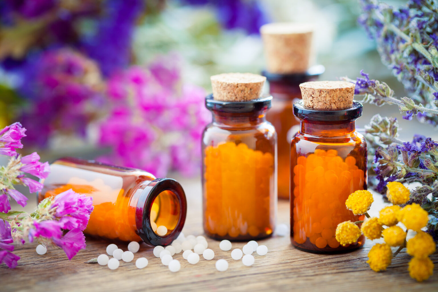 Homéopathie : Principes et traitements courants